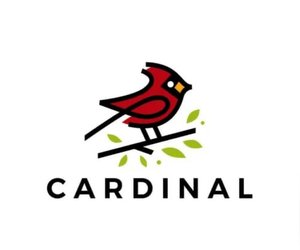 NASA Space Apps Challenge